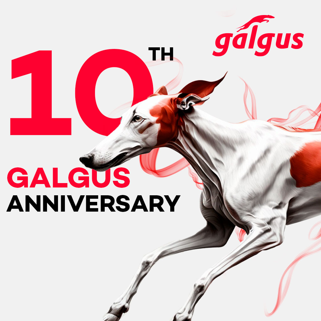 Evento-X-Aniversario | Galgus